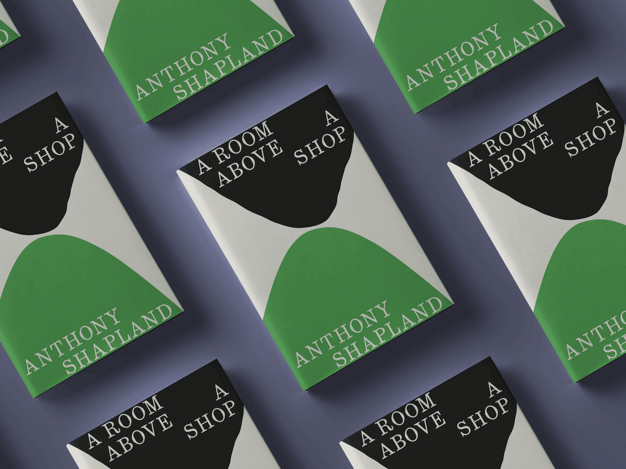 Review: A Room Above a Shop (Granta, 2025) by Anthony Shapland - Ambobdim